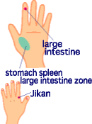 Tsubo Vital point/Zowie's Room